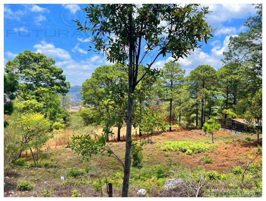 Terrenos en venta en Tatumbla, Tatumbla | Quierocasa.hn
